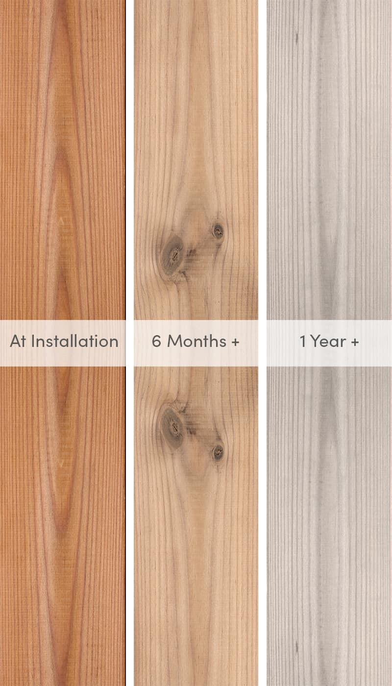 Thermo Pine | Decking Finish, Cladding Finish | Finishes | ODC